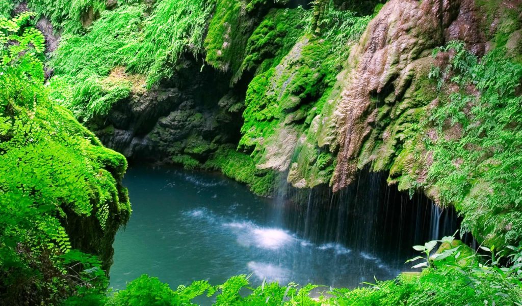 spring-fed-pools | Texas Heritage for Living