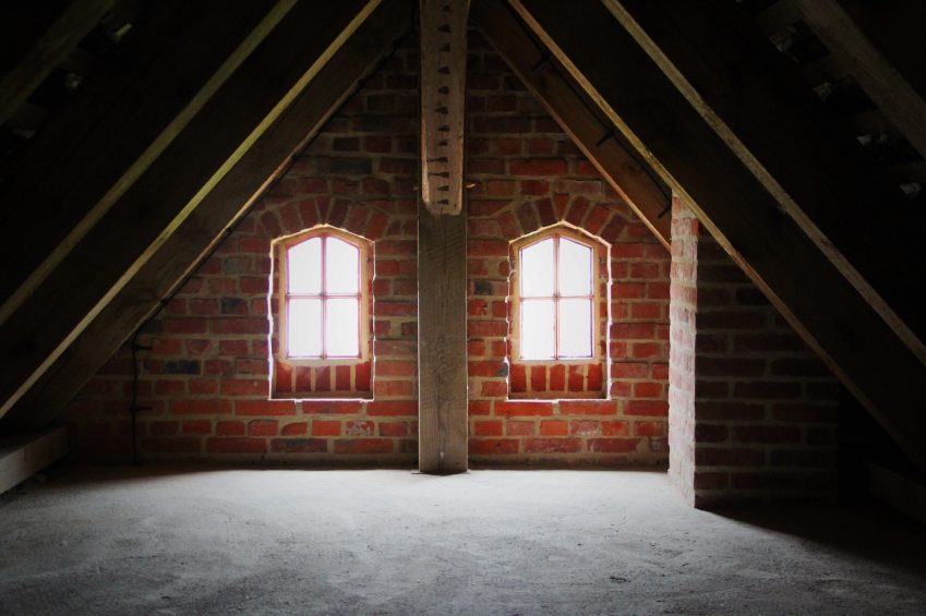 Is Something Living in Your Attic? | Texas Heritage for Living