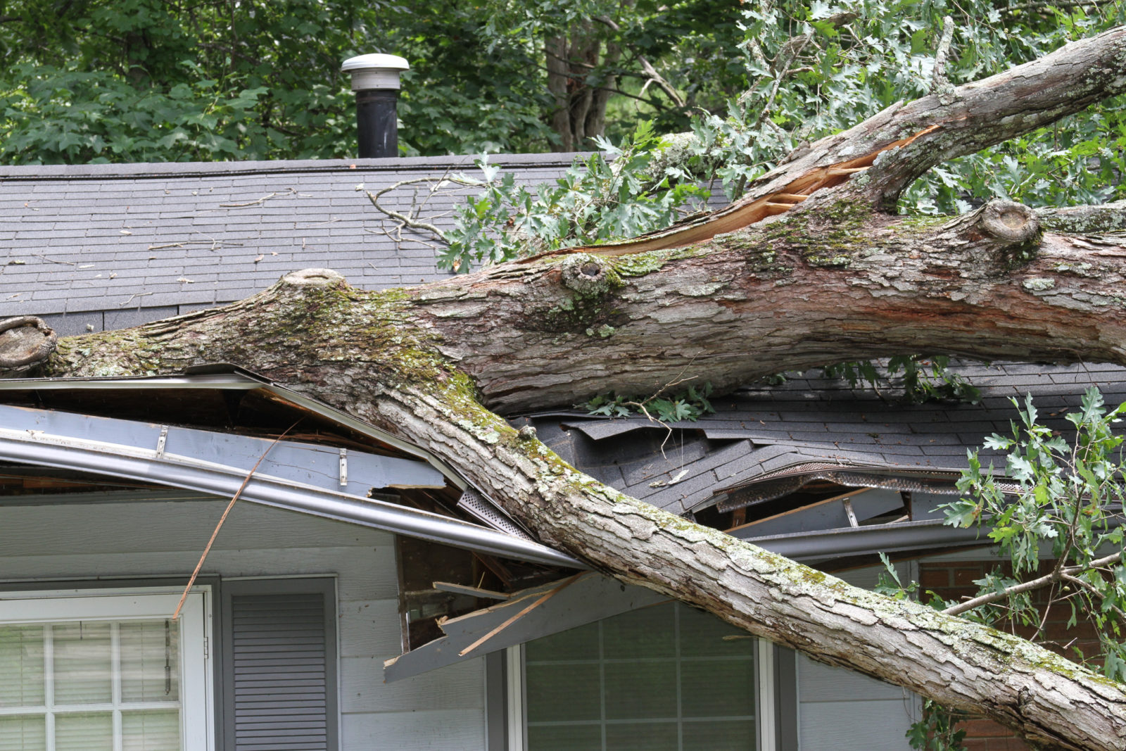 Why You Might Need Windstorm Insurance | Texas Heritage for Living