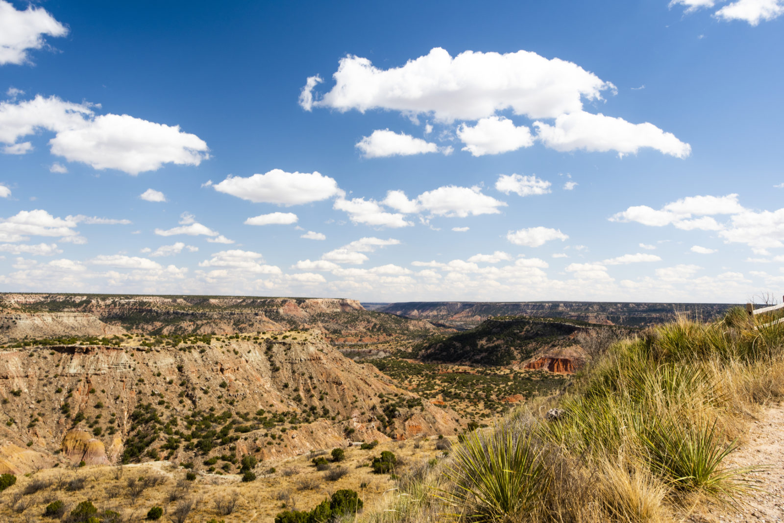 City Spotlight: Canyon | Texas Heritage for Living
