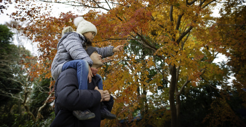 November Events: Fall Festivals | Texas Heritage for Living