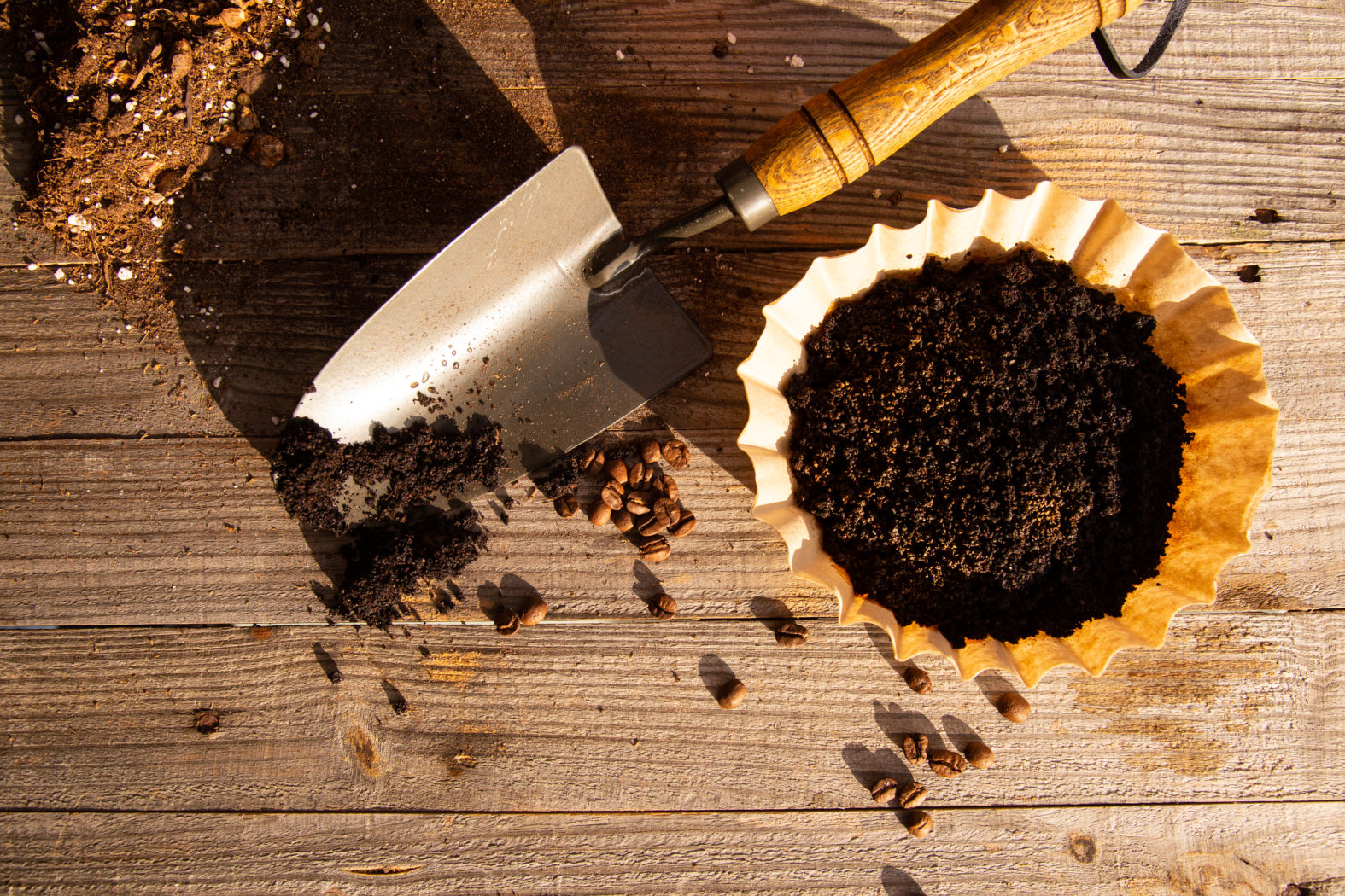 8 Natural Homemade Gardening Tips and Tricks | Texas Heritage for Living