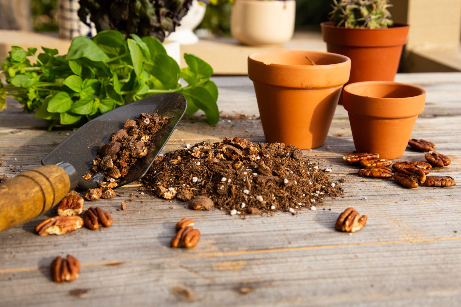 8 Natural Homemade Gardening Tips and Tricks | Texas Heritage for Living