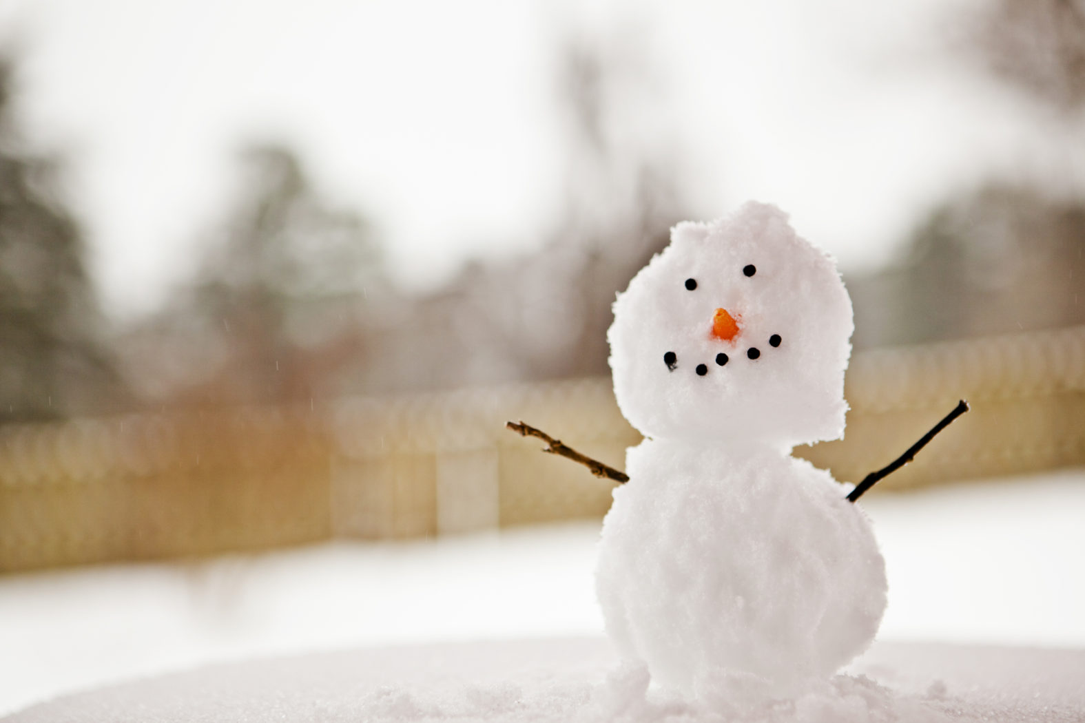 Creating a Homemade Snow Day in Texas | Texas Heritage for Living