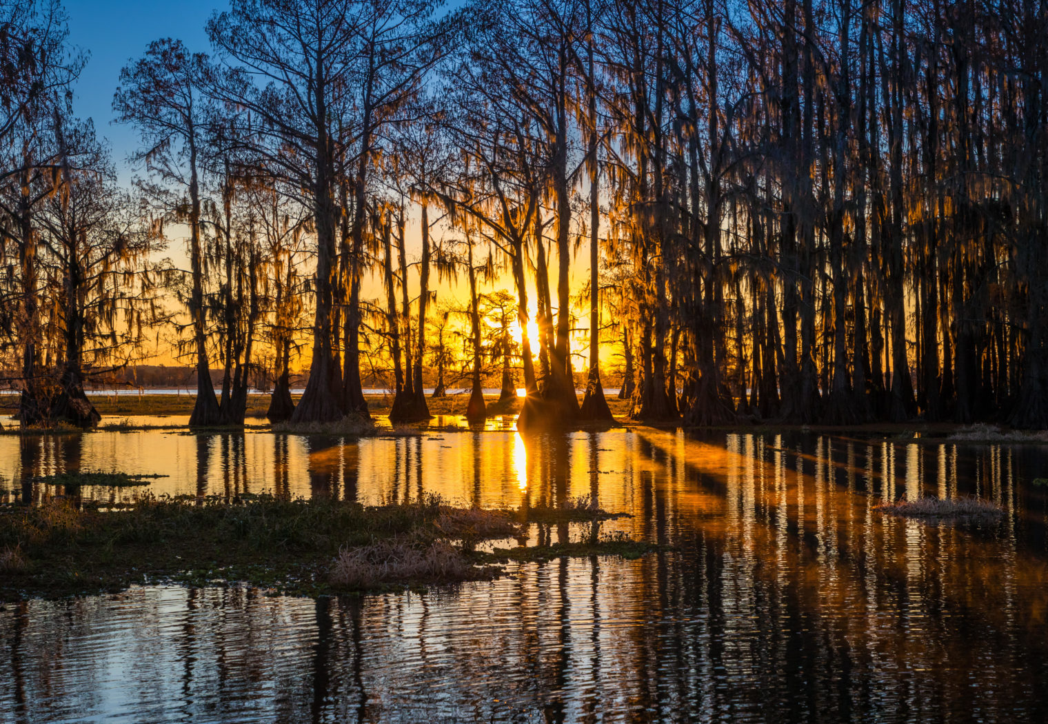 Texas Travel Guide: East Texas City Spotlights | Texas Heritage for Living