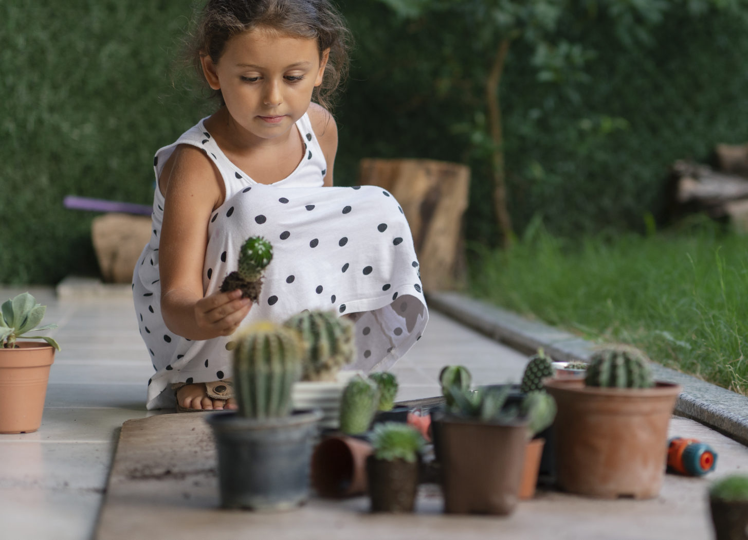 Cactus Gardening for Kids | Texas Heritage for Living