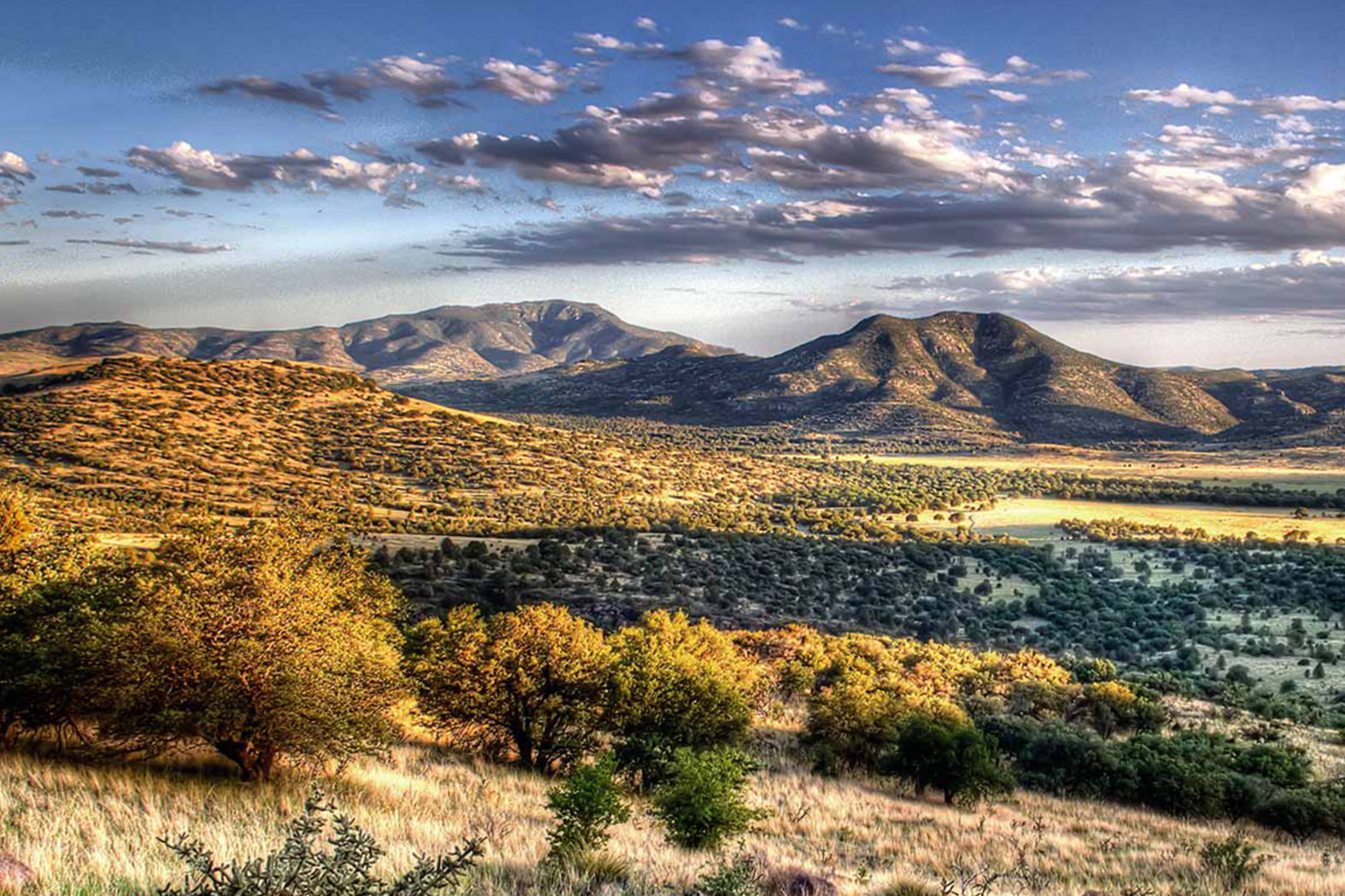 The Ultimate Texas State Park Guide: West Texas Edition | Texas ...