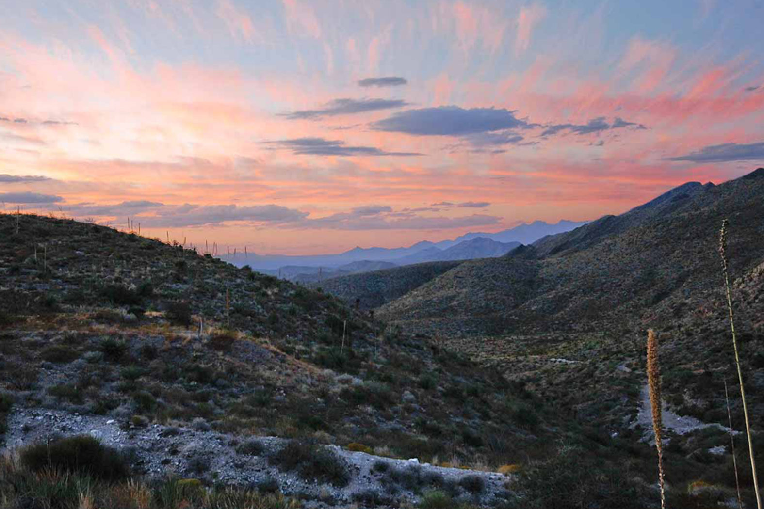 The Ultimate Texas State Park Guide: West Texas Edition | Texas ...