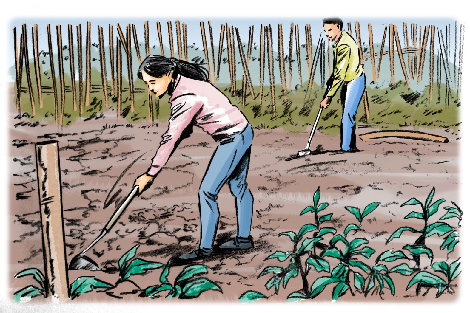 Tips for Shopping Your Local Plant Nursery | Texas Heritage for Living