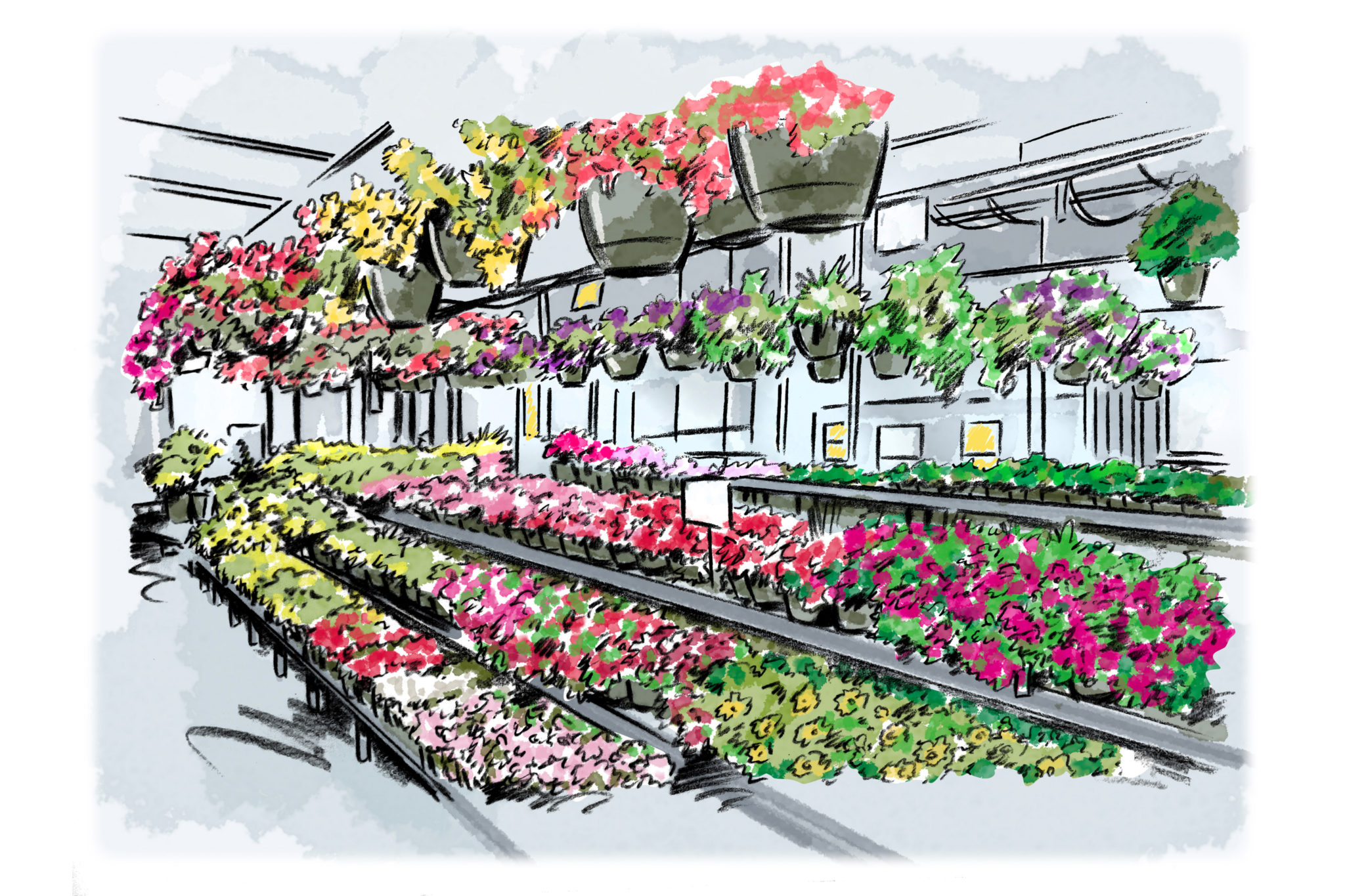 Tips for Shopping Your Local Plant Nursery | Texas Heritage for Living