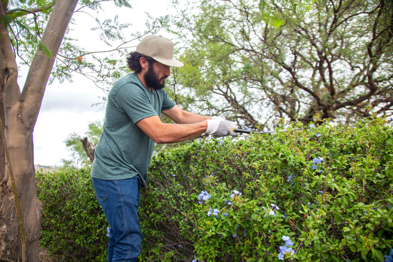How Strategic Landscaping Can Improve Home Security | Texas Heritage ...