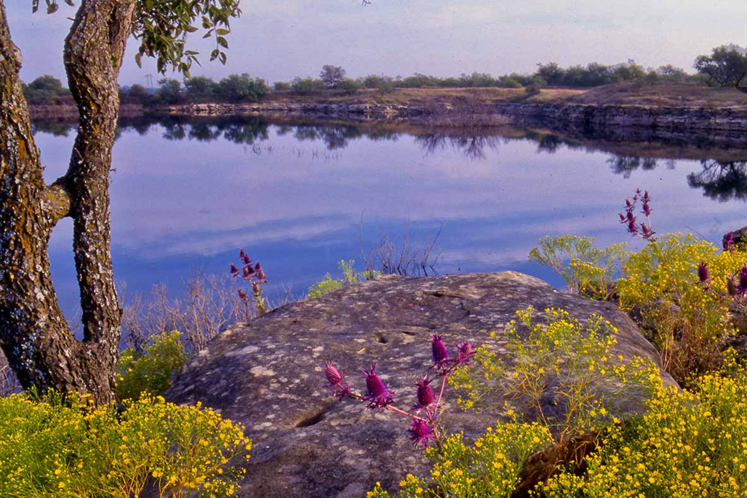 The Ultimate Texas State Park Guide: North Texas Edition | Texas ...