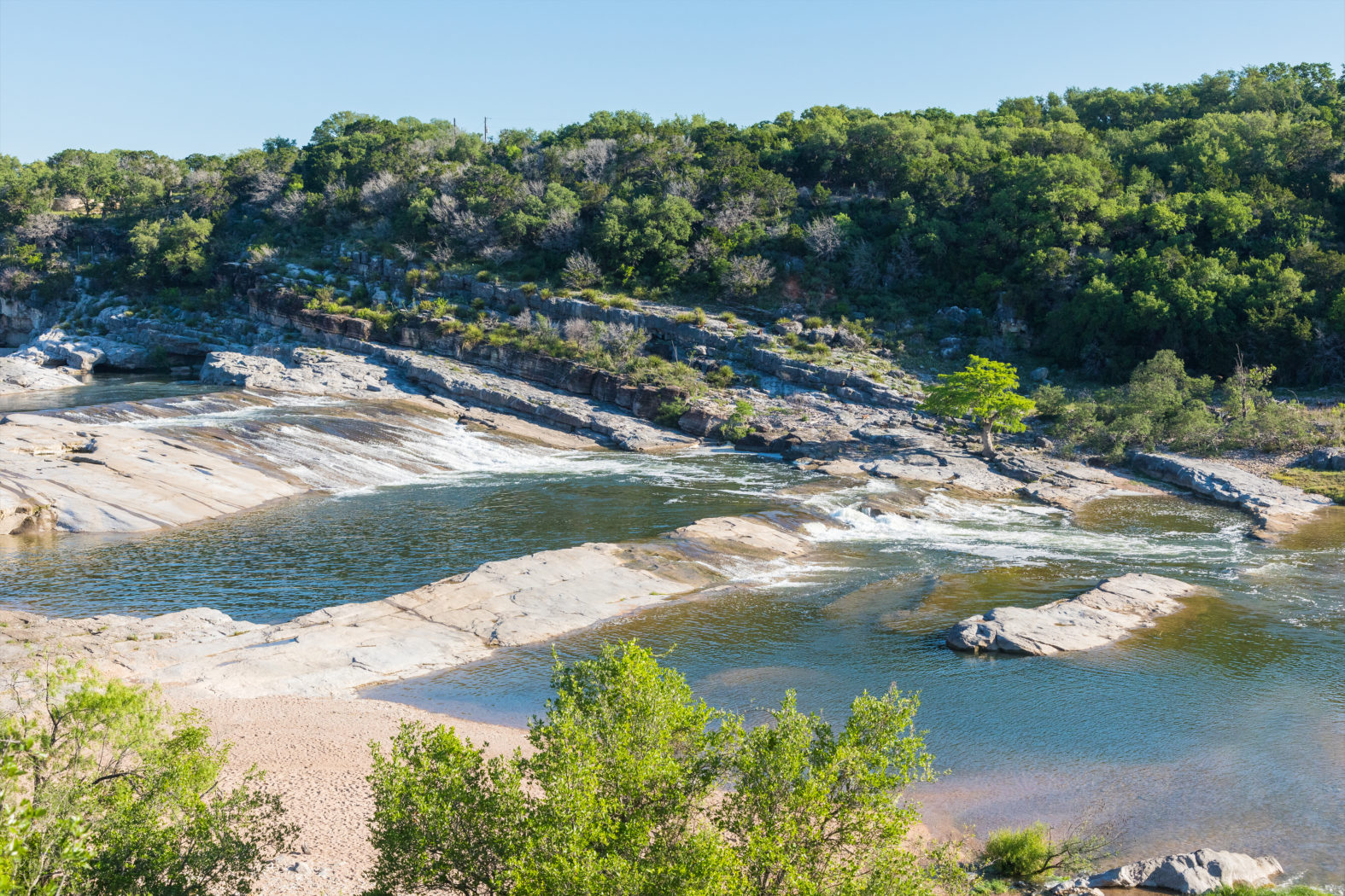 The 53ers of the Texas Gold Rush | Texas Heritage for Living