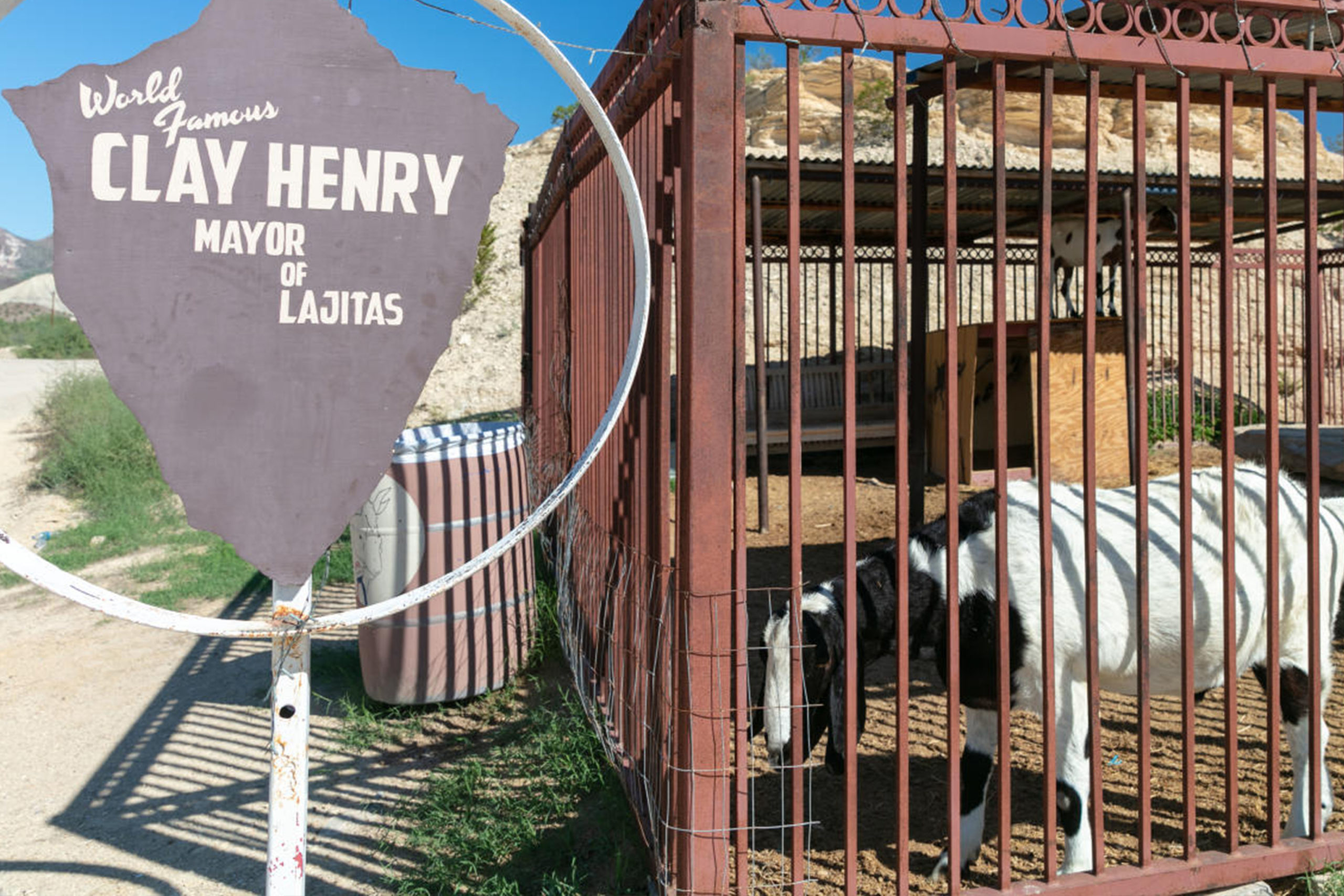 Weird History: The Goat Mayors of Lajitas | Texas Heritage for Living