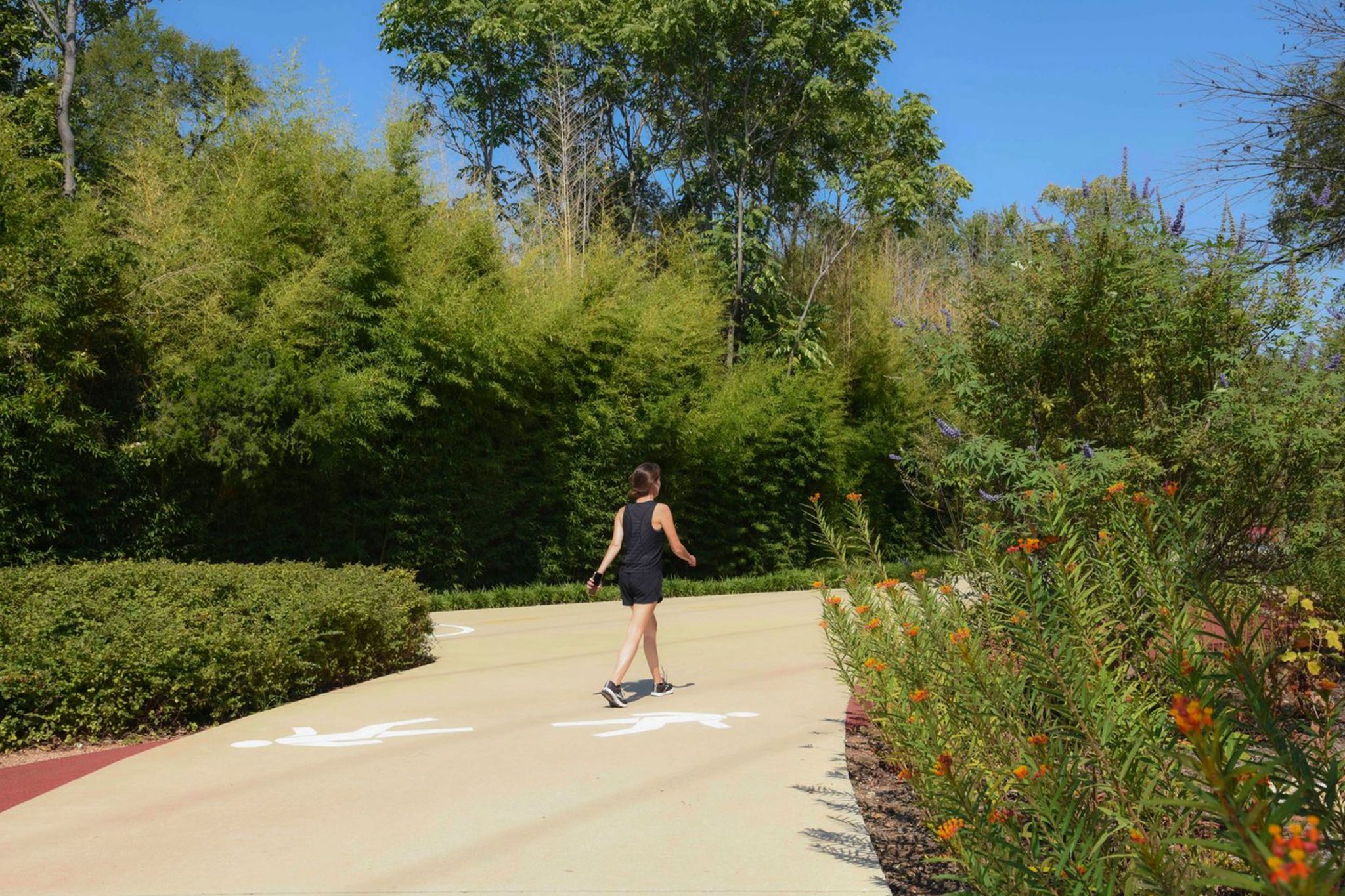 From Steel to Green: How the Katy Trail Transformed Dallas Twice ...