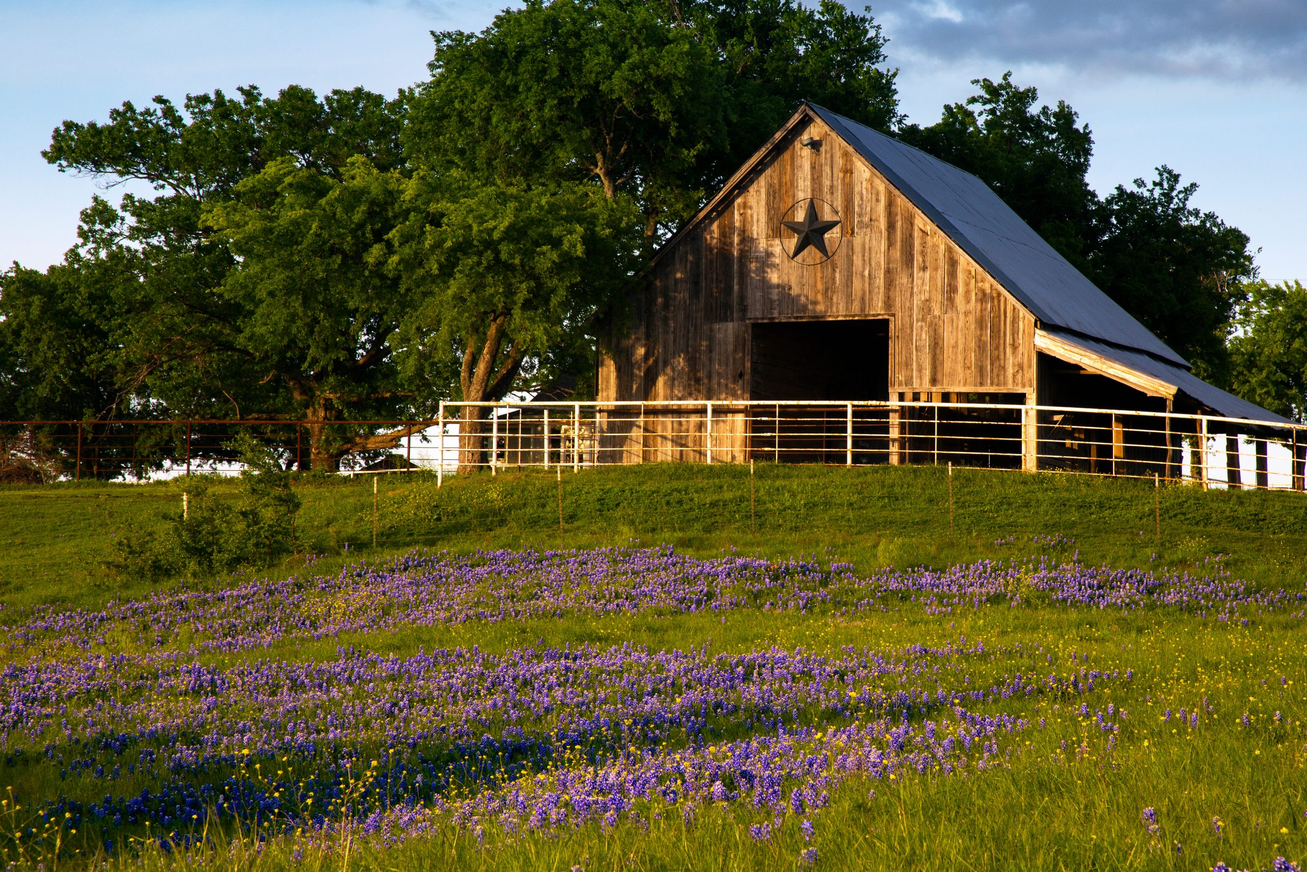 FAQs: Farm & Ranch Insurance | Texas Heritage for Living