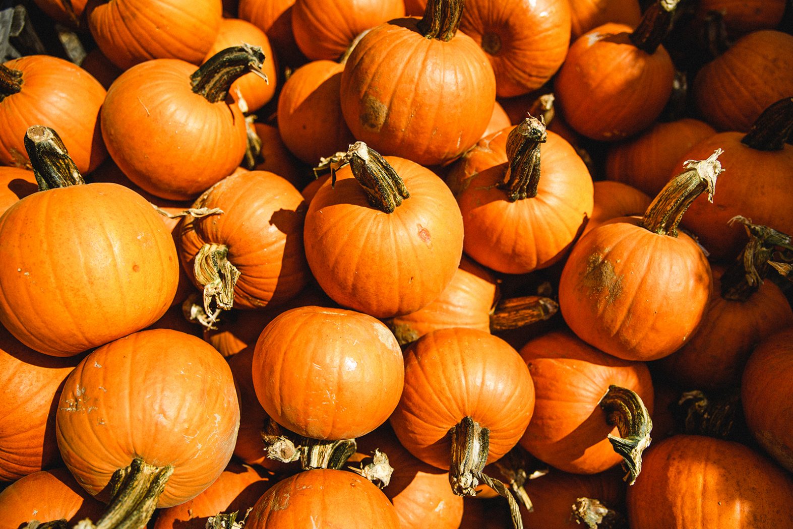 Spooky Season Guide: October in Texas | Texas Heritage for Living