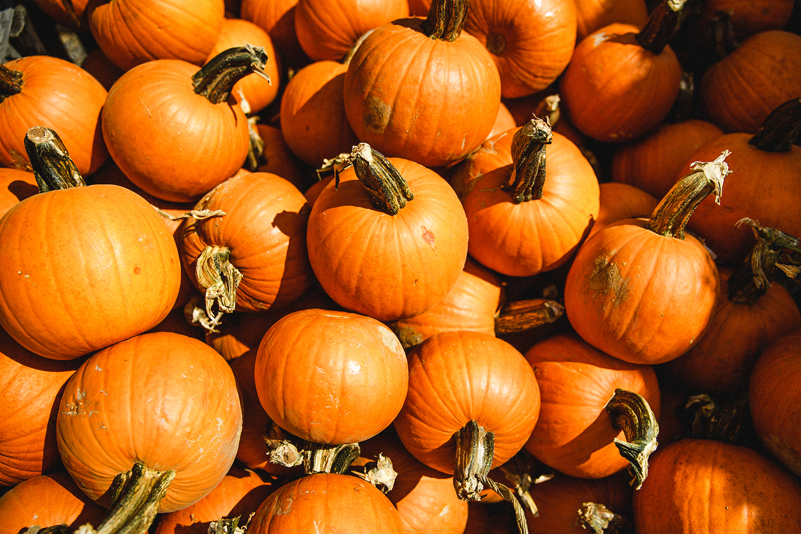 Spooky Season Guide: October in Texas | Texas Heritage for Living