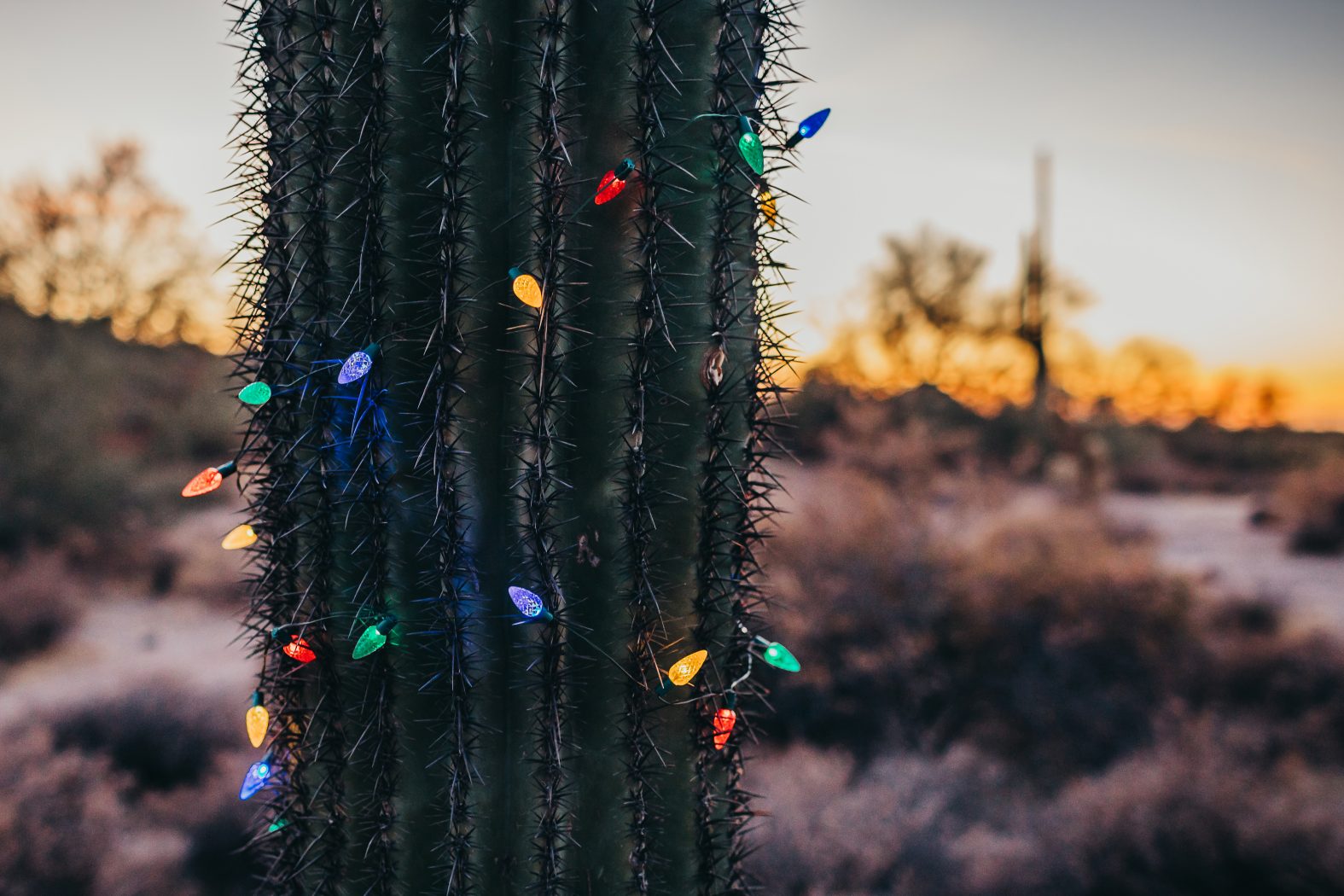 The 9 Best Texas Christmas Traditions | Texas Heritage for Living