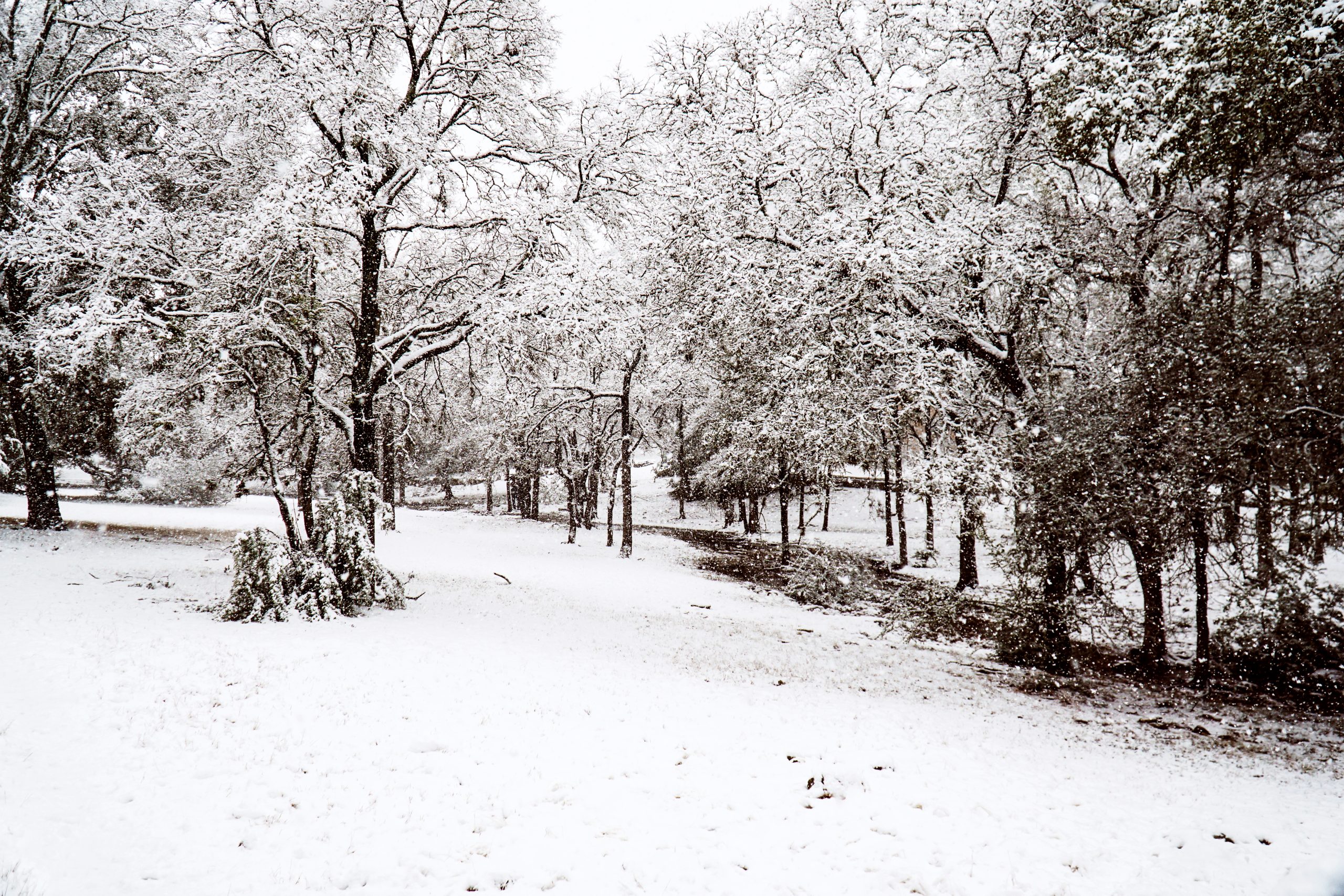 Enjoying a Texas Snow Day | Texas Heritage for Living