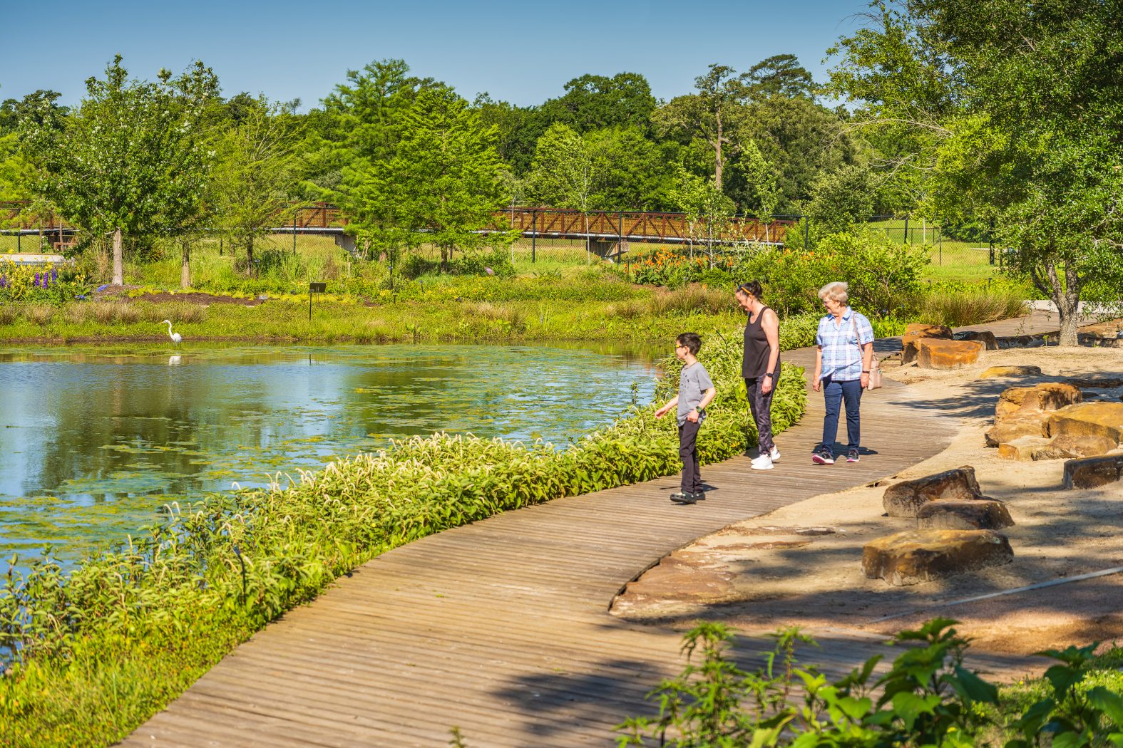 10 Must-See Texas Botanical Gardens | Texas Heritage for Living