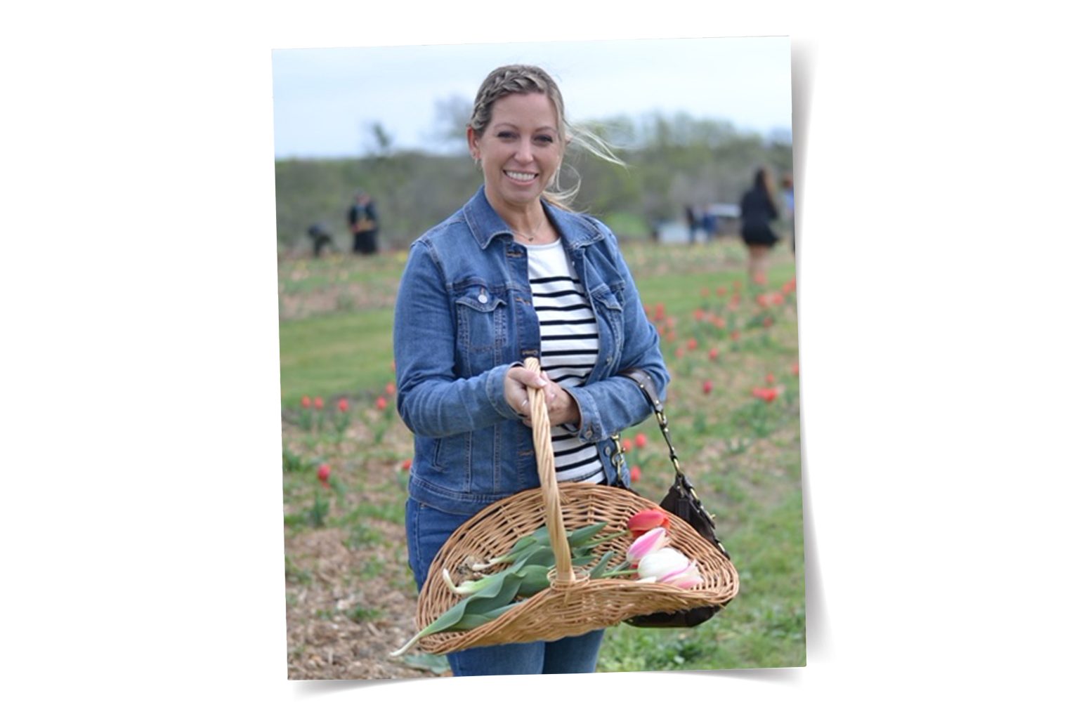 Top 7 Tulip Farms in Texas | Texas Heritage for Living