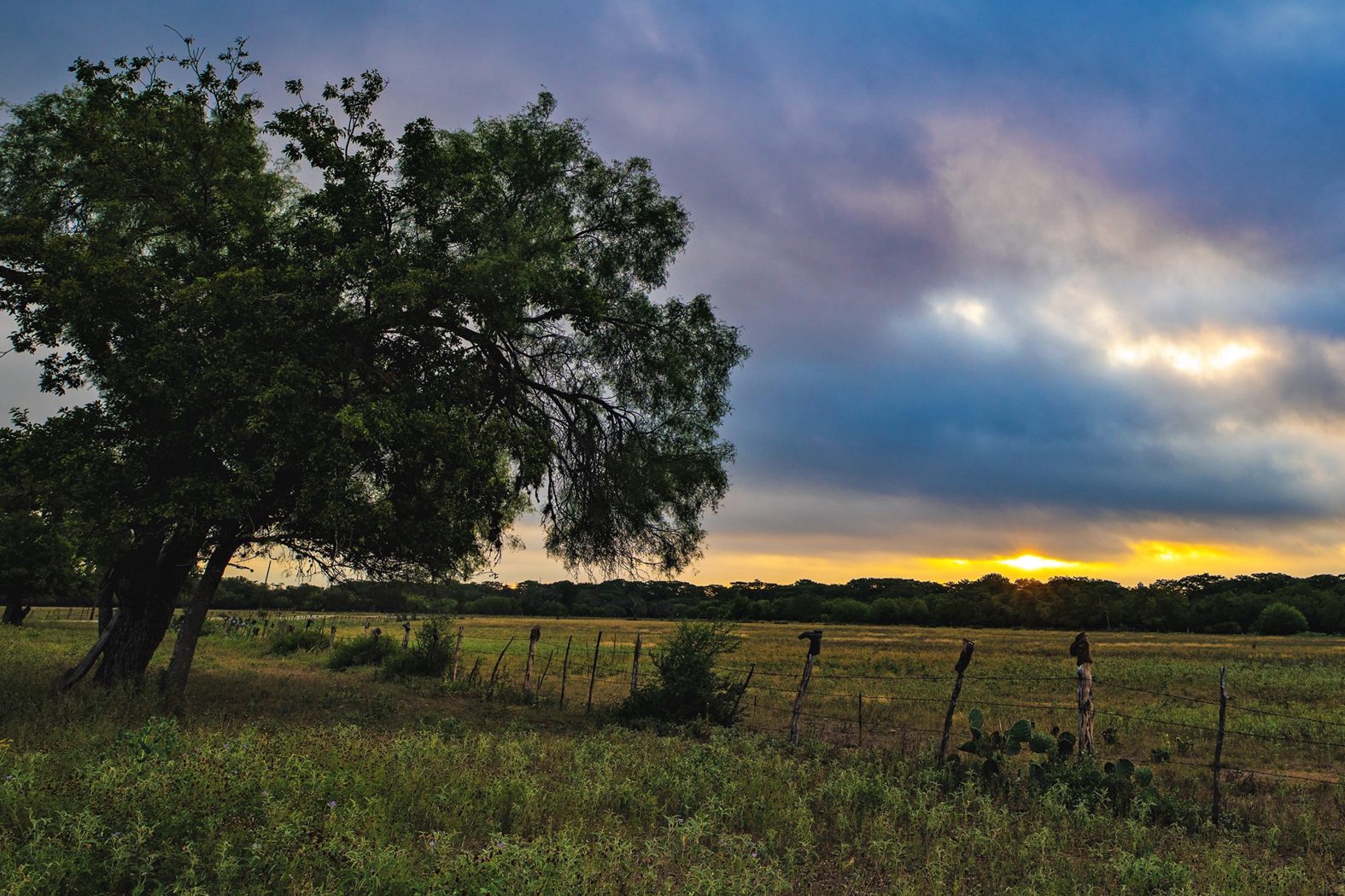 Hit the Trail at a Texas Dude Ranch | Texas Heritage for Living
