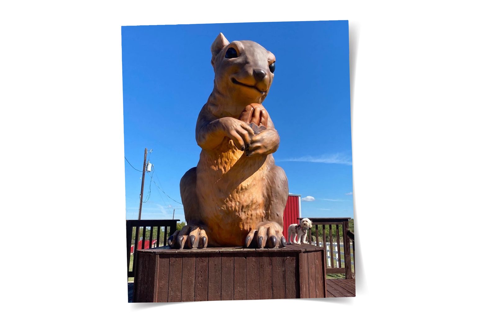 Unusual Texas Roadside Attractions | Texas Heritage for Living