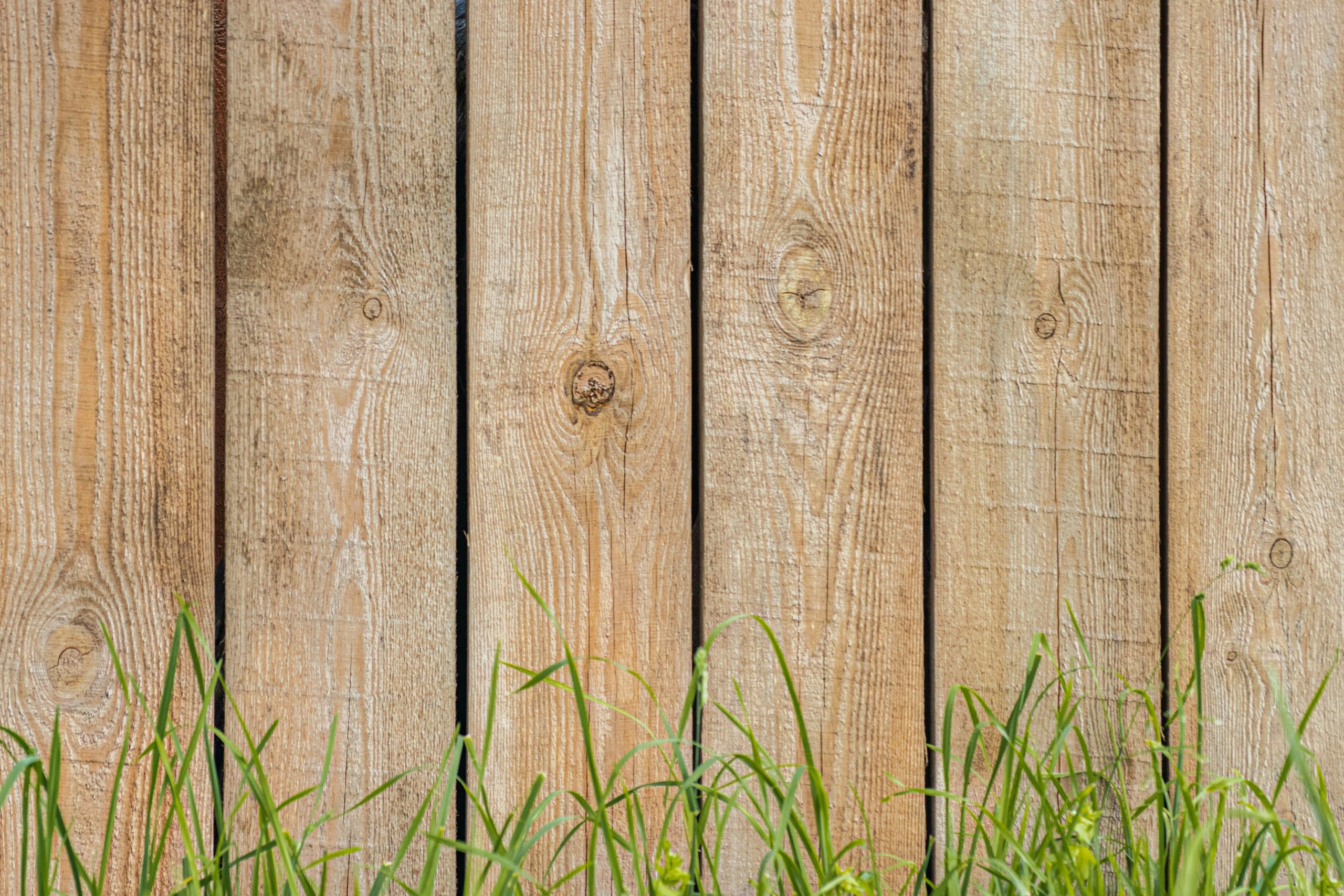 Caring For Fences and Decks | Texas Heritage for Living