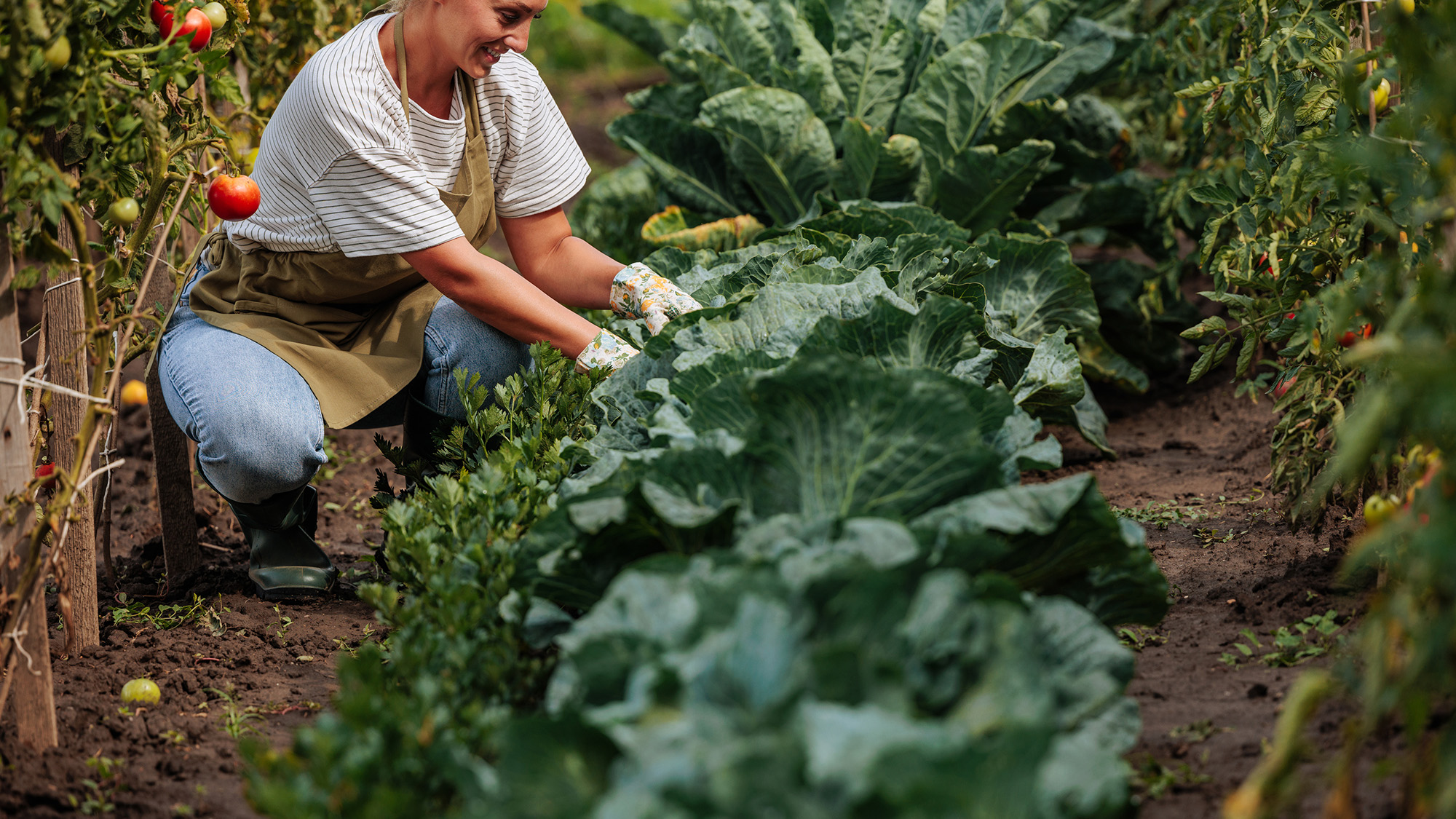 Your Texas Vegetable Garden | Texas Heritage for Living